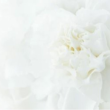 Funeral Notices - Emma WATSON